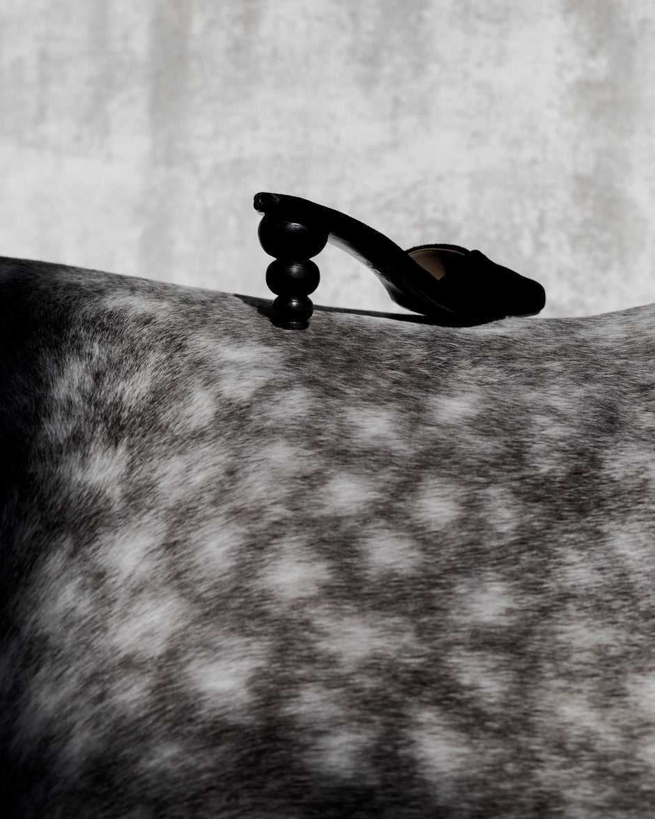 BALGA – Outborn Generation